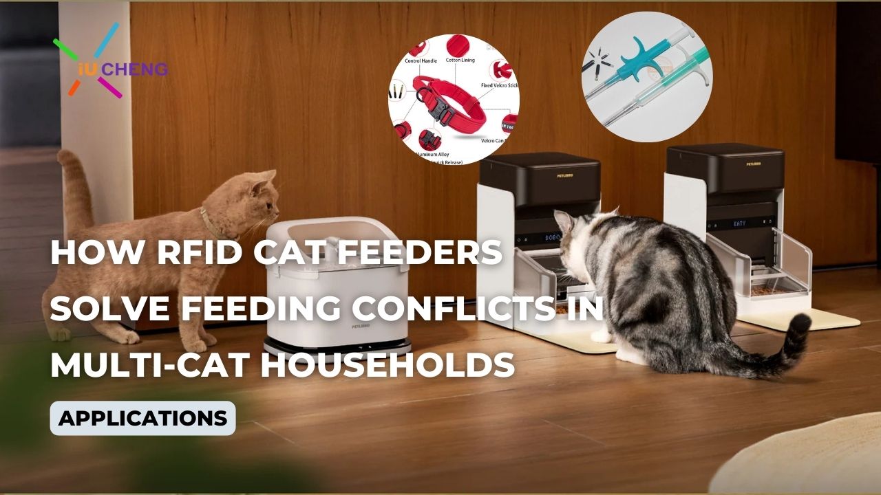 How RFID Cat Feeders Solve Feeding Conflicts in Multi-Cat Households ...